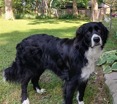 Eric Levin Our Lily Facebook