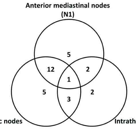 patterns of nodal involvement at initial diagnosis n 30 anterior