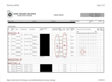 Everything You Should Know About Ccris