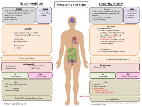 Hypothyroidism And Hyperthyroidism Symptoms And Signs Hypothyroidism