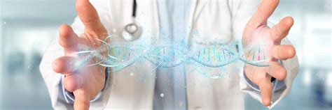 HSP Types HSP Support Group