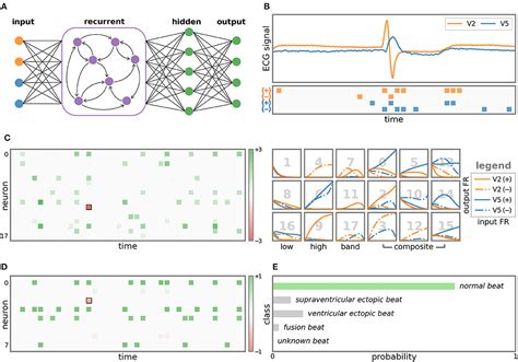 Frontiers Backpropagation With Sparsity Regularization For Spiking Neural Network Learning