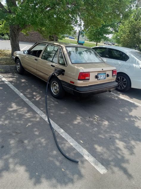 Oopsie Daisy Rfacepalm