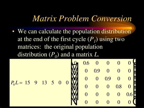 Using Matrices To Predict Growth Ppt Download