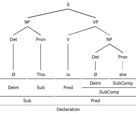 Using Nouns And Noun Phrases As Subject Complements