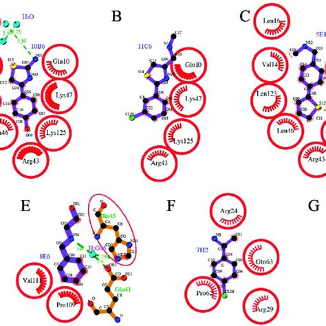 Molecular Interactions Of Fragment Hits Binding To Sars Cov 2 Nsp1