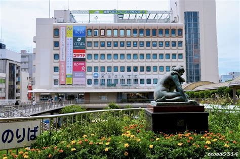 鎌倉高校前平交道｜灌籃高手經典場景實地朝聖 交通攻略＆江之電一日券使用指南 旅遊 Walkerland窩客島