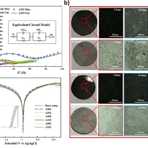 A Electrochemical Impedance Spectra Of The Symmetrical Cells B
