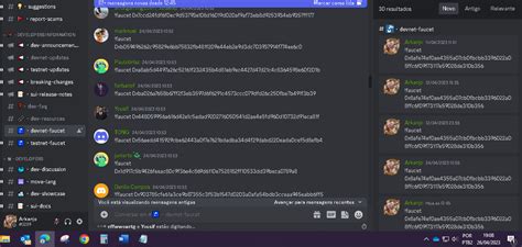 wallet access failed technical support sui developer forum