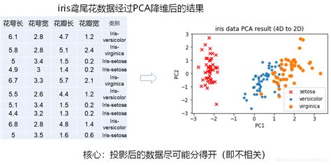 机器学习入门与python实战（十）：数据降维pca主成分分析python将数据用pca降维并可视化 Csdn博客