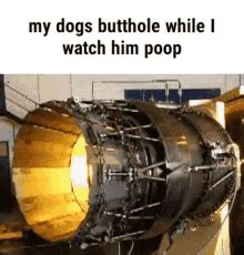 Lick Butthole S Tenor