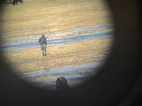 Улсын тусгай хамгаалалттай газарт шувуу буудаж байж болзошгүй зөрчлийн мэдээлэл цахим сүлжээнд