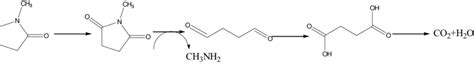 Proposed Metabolic Pathway Of NMP By Strain NMD 4 Download Scientific Diagram