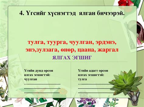монгол хэл 3 р анги Pdf