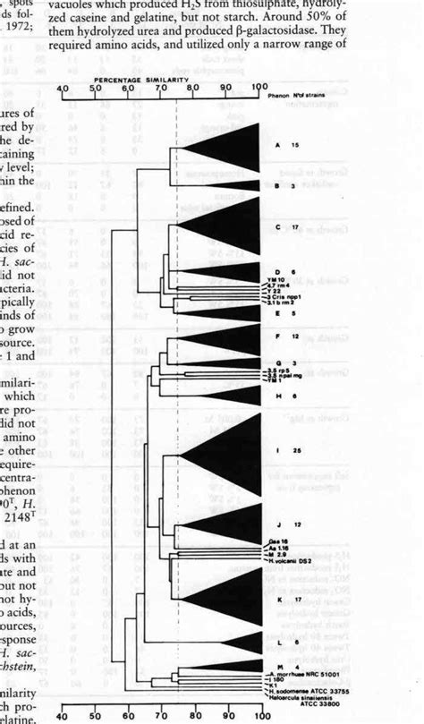 Figure 1 Classification Of Non Alkaliphilic Halobacteria