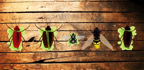 Tap Tap Ants Ant And Cockroach Smasher For Pc How To Install On Windows Pc Mac