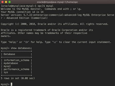 Criando Uma Instância Do Mysql No Oracle Cloud Conectando Se Com
