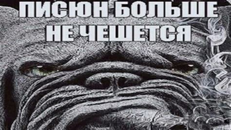 Писюн больше не чешется Youtube