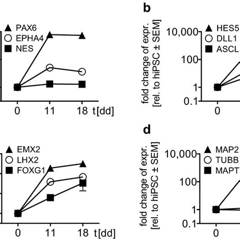 Marker Expression During The Differentiation From Hipsc Hipsc Were
