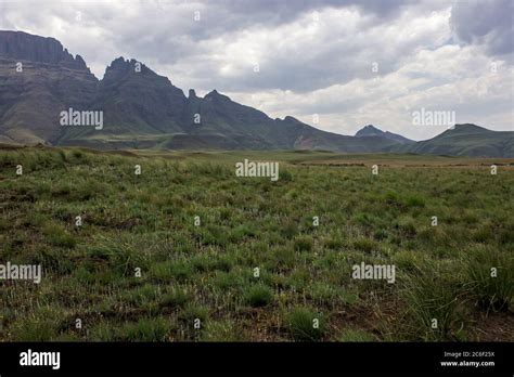 An Afromontane Grassland Surrounded By Sterkhorn The Turrent Amplet And Intunja All Iconic