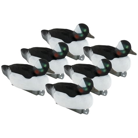 Migration Bufflehead Tanglefree Shop