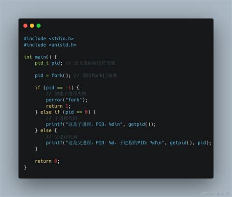 linuxC语言进程概念与fork
