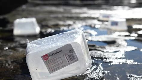 Promising Drop In Coastal Plastic Pollution Twib News