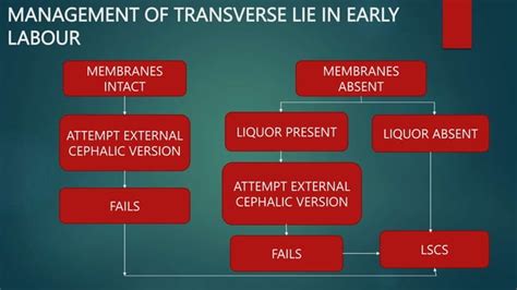 Management Of Pregnancies With Transverse Lie Pptx