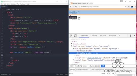 08 Ng Show And Ng Hide In Angularjs Tutorials In Hindi Youtube