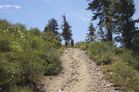Sierra Buttes Fire Lookout Norcal Hiker