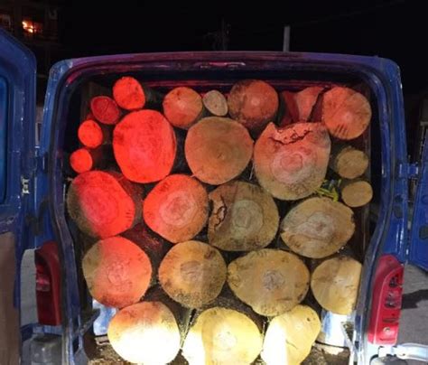 Transport Ilegal Në Shtërpcë Konfiskohen Automjeti Bashkë Me Drunj Klan Kosova