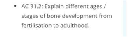 Ac 312 Explain Different Ages Stages Of Bone Development From Fertili