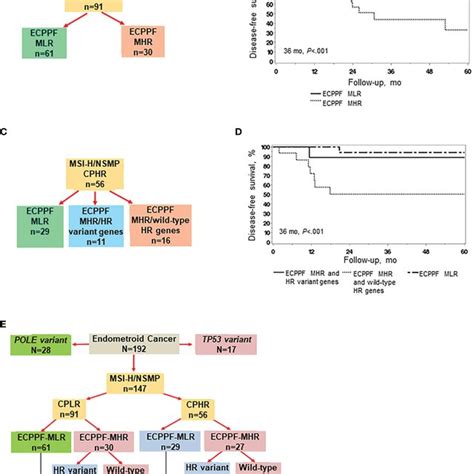 Clinical Outcomes In Endometrial Cancer Ec With High Microsatellite Download Scientific