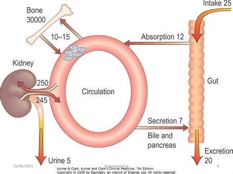 Hypocalcaemia Pptx