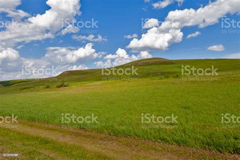 그린 필드와 푸른 하늘 화창한 여름 날에는 잔디와 언덕의 아름 다운 보기 솜 털 구름 푸른 하늘에 대 한입니다 0명에 대한 스톡 사진 및 기타 이미지 Istock