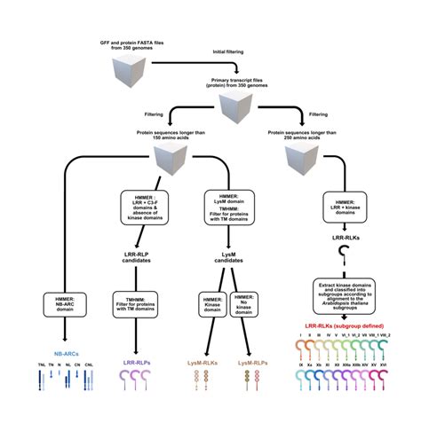 Protein Sequences From All 350 Proteomes Were First Filtered For The