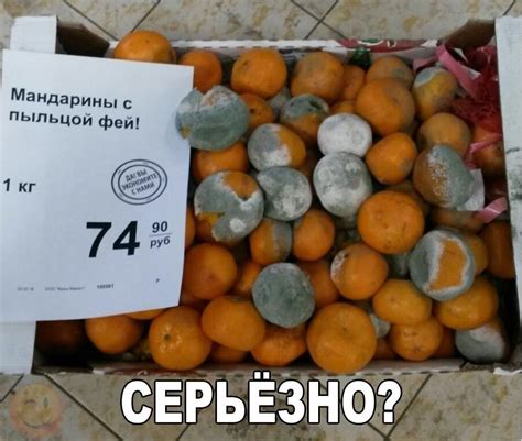 Мандарины | Пикабу