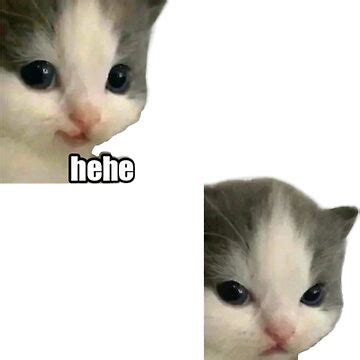 Hehe Meme
