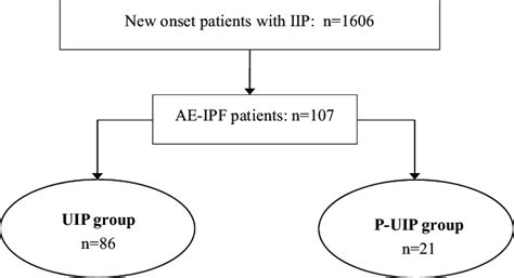 Flow Chart Of Ae Ipf Included Patients Ae Ipf Acute Exacerbation Of