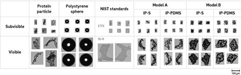Flowcam Aids Development Of Protein Like Particle Standards
