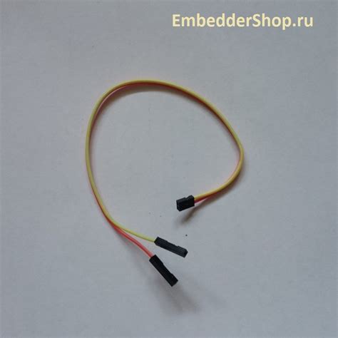 Шлейф из двух жил 20 см Embeddershop
