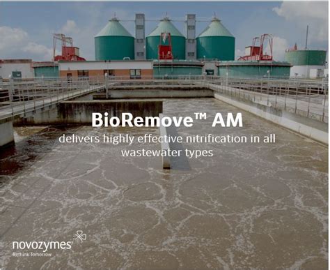 Ammonia Aerobic Biological Nitrification Microorganisms