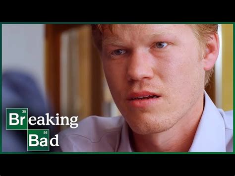 Badger Breaking Bad Meme