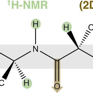 Schematic Illustration Of The Combined Experimental Approach To Study Download Scientific
