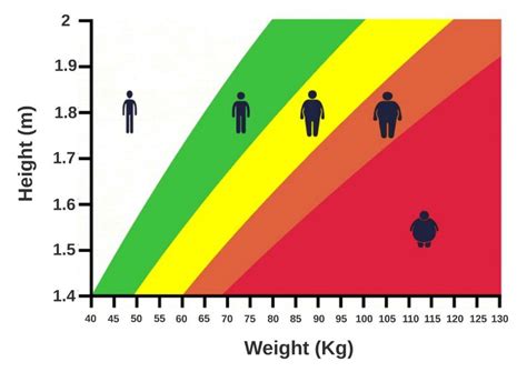 Schematic Illustration Of The Body Mass Index Download Scientific Diagram
