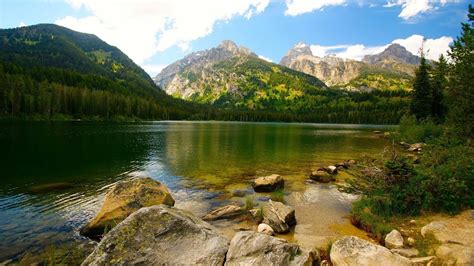 Fondos De La Naturaleza Fondo De Pantalla