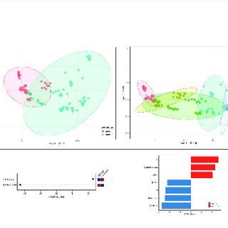 Spatial variation of bacterial community and function in shellfish... | Download Scientific Diagram