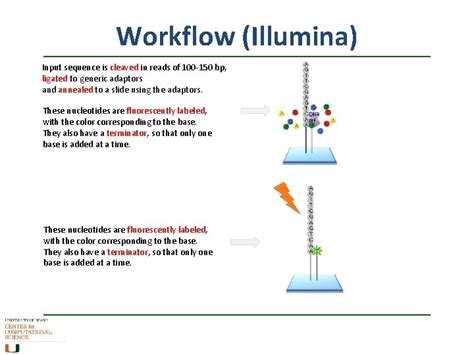 General Workflow Illumina Workflow Outcomes Workflow Illumina Input