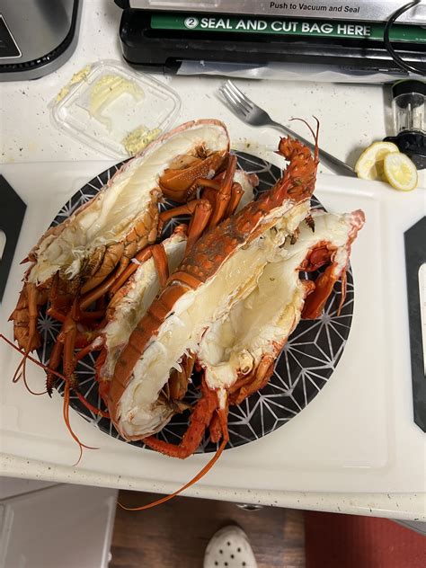 Inshore Bugzilla Bloodydecks Inshore Bugzilla Bloodydecks