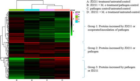 The Heap Map Of Differentially Expressed Proteins In Each Treatment A